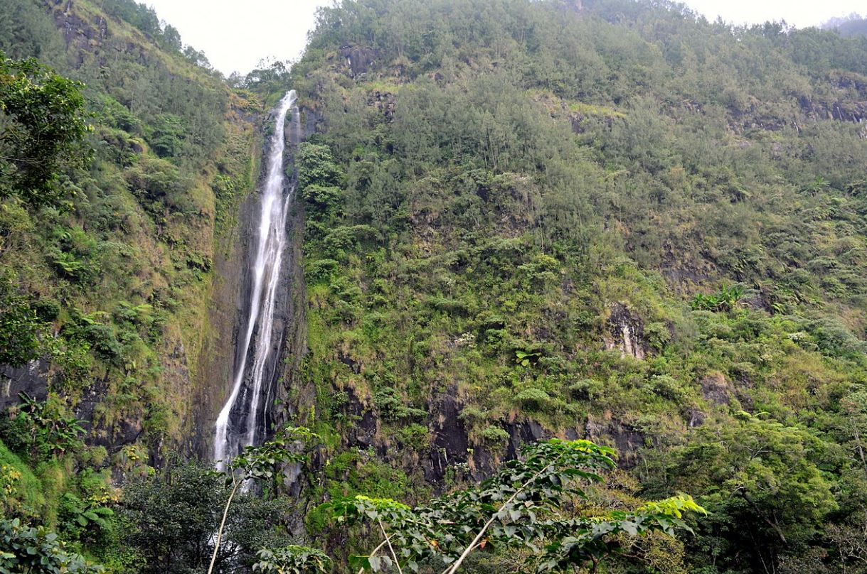 3 Alasan Kalian Wajib ke Air Terjun Sedudo Nganjuk – Radar Cirebon Televisi