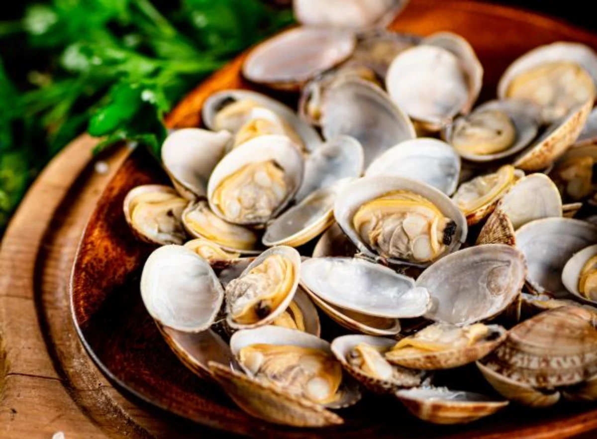 Ragu untuk Membeli Kerang? Ini Tips Mudah Memilih Kerang yang Segar dan ...