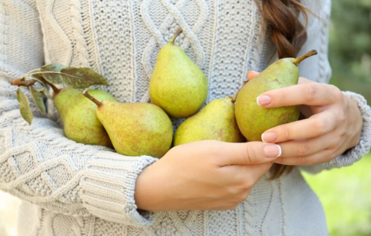 Manisnya Buah Pir, Sehatnya Tubuh: 5 Manfaat untuk Meningkatkan ...