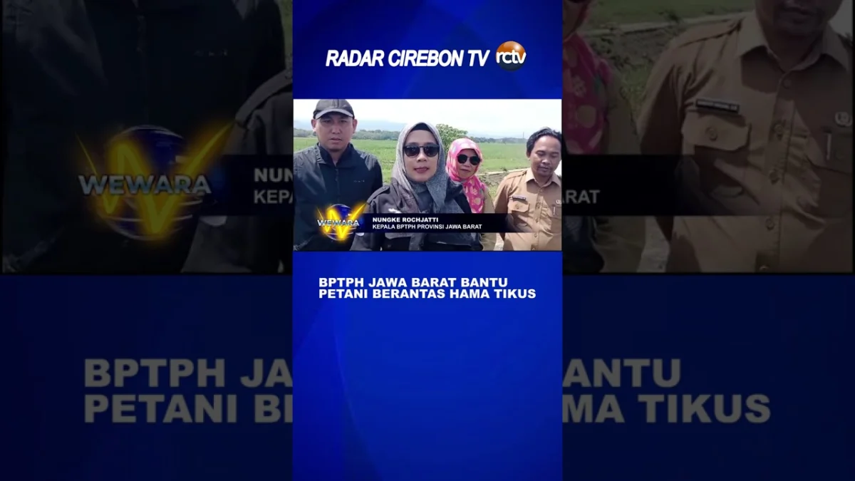 BPTPH Jawa Barat Bantu Petani Berantas Hama Tikus – Video – Radar ...