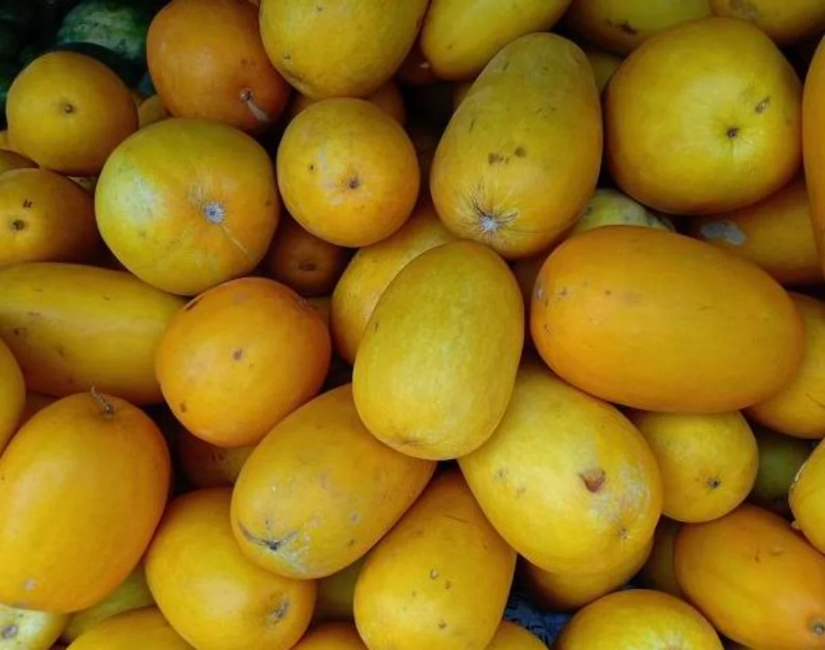 Biasa Dijadikan Sebagai Campuran Sop Buah, Berikut Manfaat Timun Suri ...