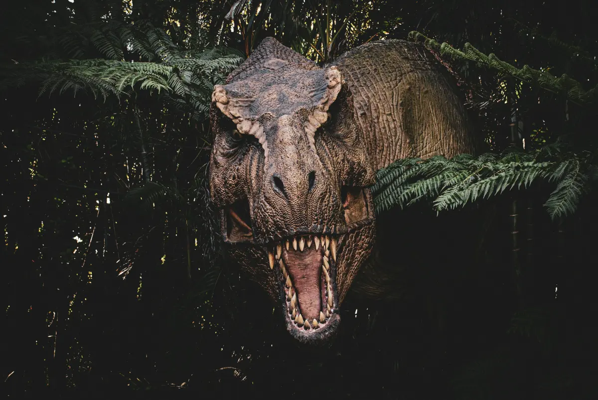 Bukan dari Amerika! Ini Bukti T-Rex Pertama Kali Hidup di Asia – Radar ...