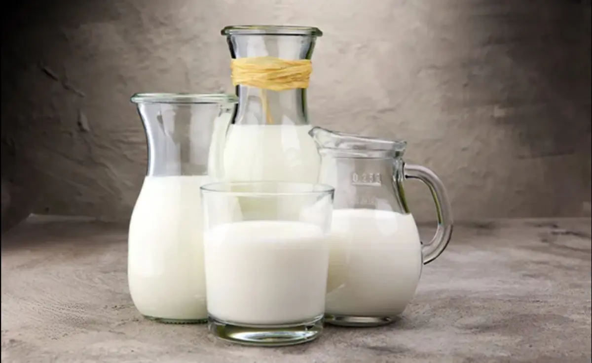 Menguak Fakta Mengejutkan di Balik Konsumsi Susu bagi Penderita GERD ...
