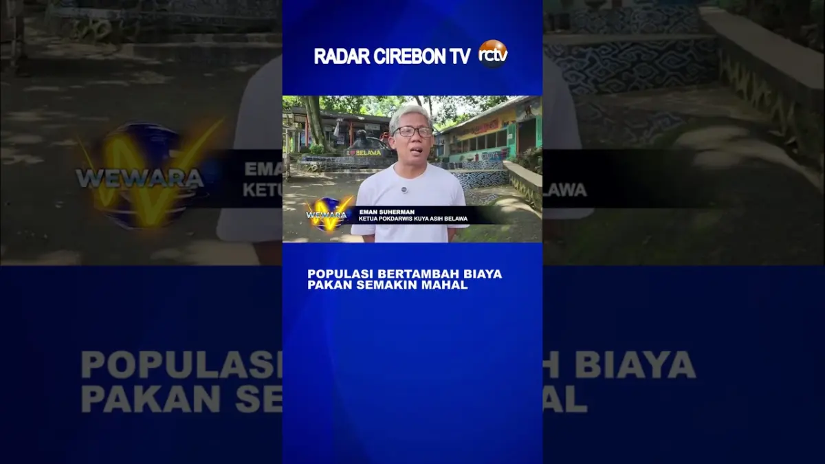 Populasi Bertambah Biaya Pakan Semakin Mahal – Video – Radar Cirebon ...